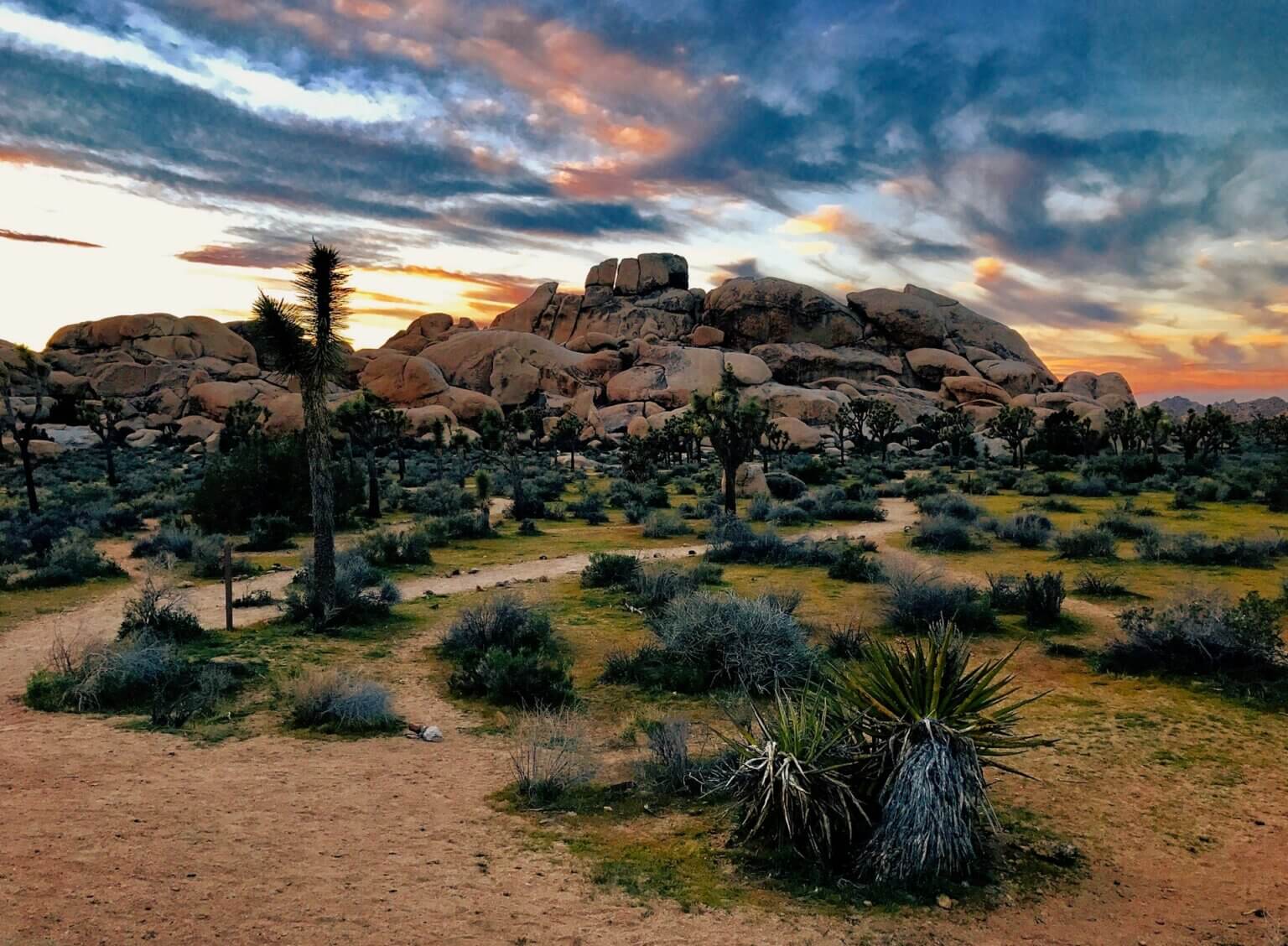 21 Best Places To Camp In Southern California 2026