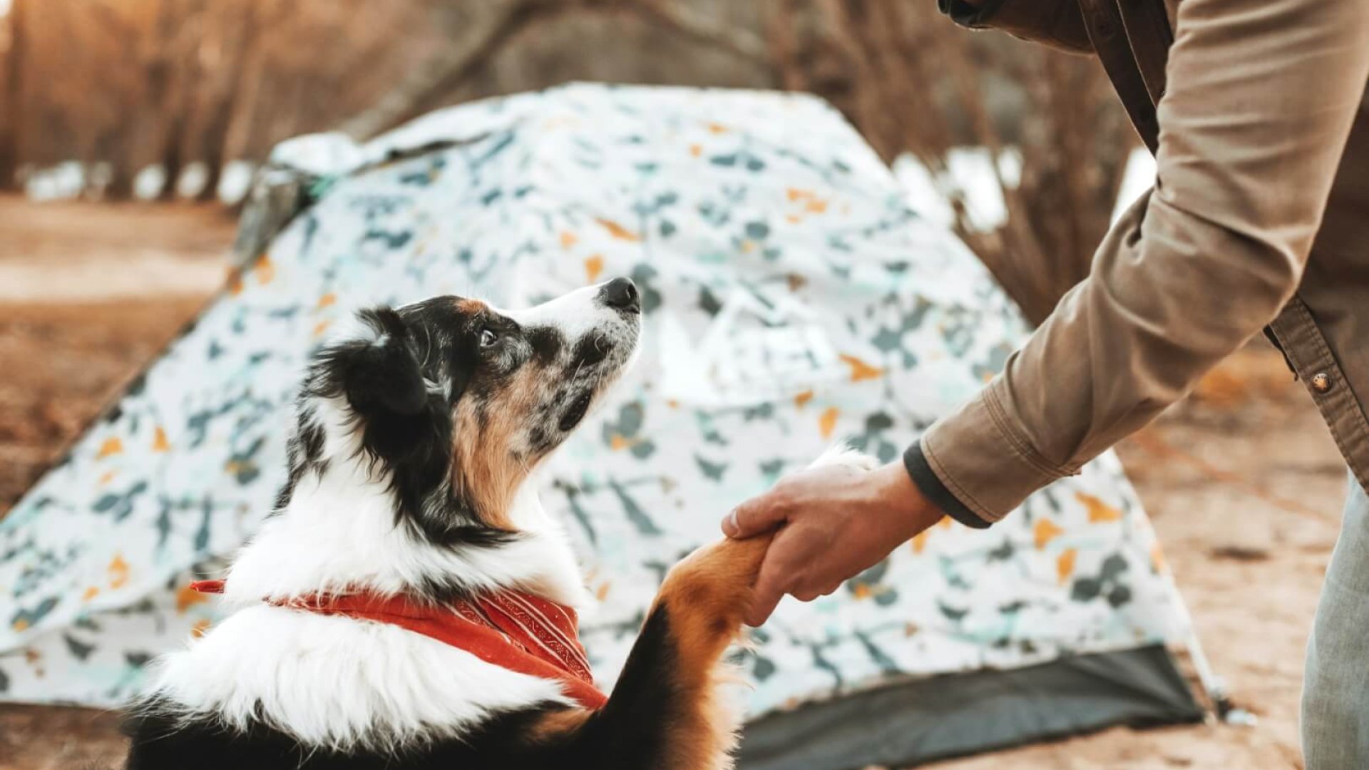 5 Best (Pop Up) Camping Shower Tents You Must Try (2024)