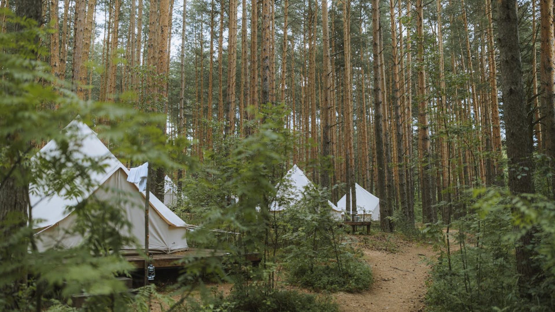 5 Best (Pop Up) Camping Shower Tents You Must Try (2024)